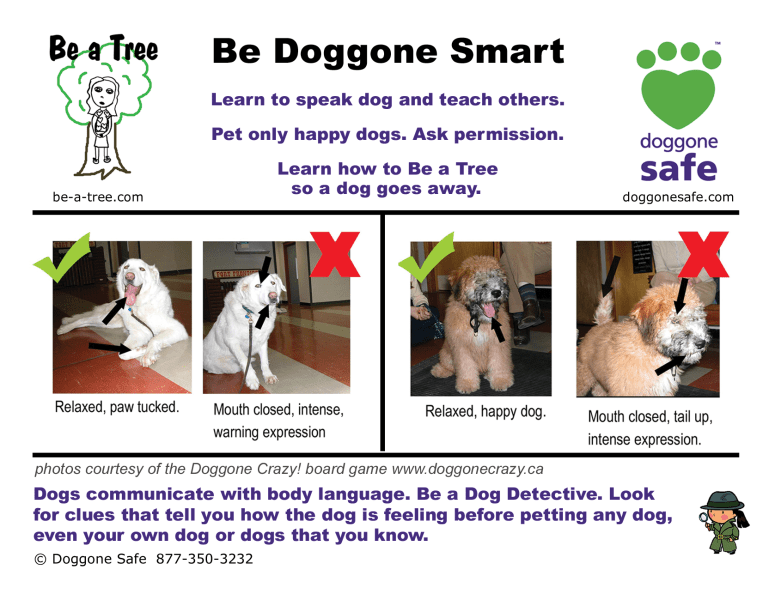 Dealing with the dangers of dog bites