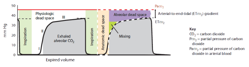 Understanding end-tidal CO2 monitoring