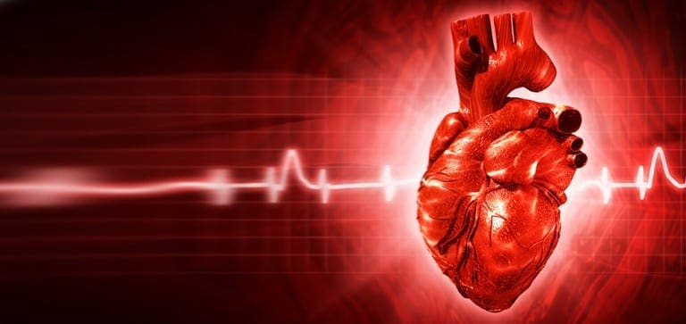 BNP: Rapid detector of heart failure