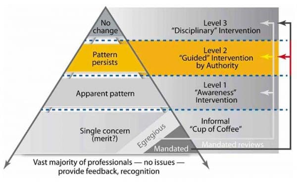 Promoting professionalism through authority guided intervention
