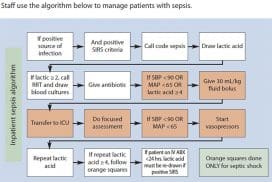 The Sepsis challenge - American Nurse Today