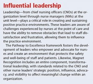 Comparing Pathway to Excellence® and Magnet Recognition® Programs