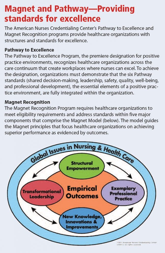 Comparing Pathway to Excellence® and Magnet Recognition® Programs