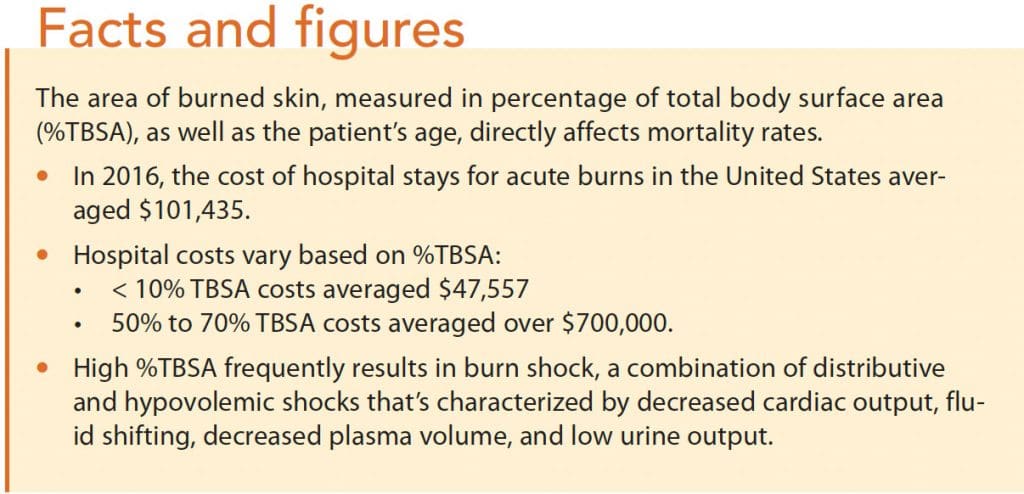 Initial assessment and management of burn patients