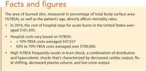Initial assessment and management of burn patients