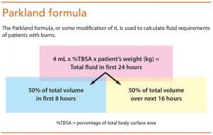 Initial assessment and management of burn patients