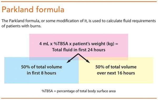 Initial assessment and management of burn patients