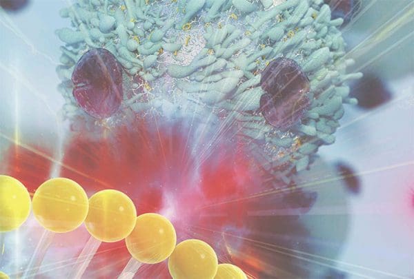 Introduction to immunotherapy: What nurses need to know about emerging ...