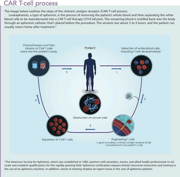Introduction to immunotherapy: What nurses need to know about emerging ...