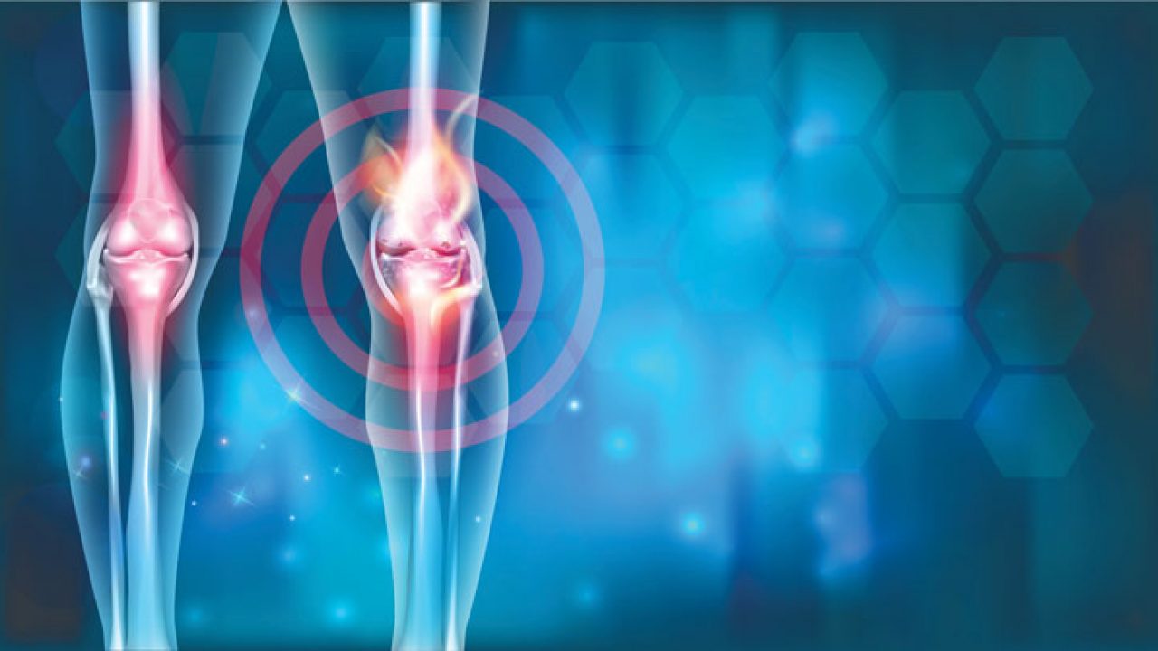 Software Testing Kya Hoti Hai