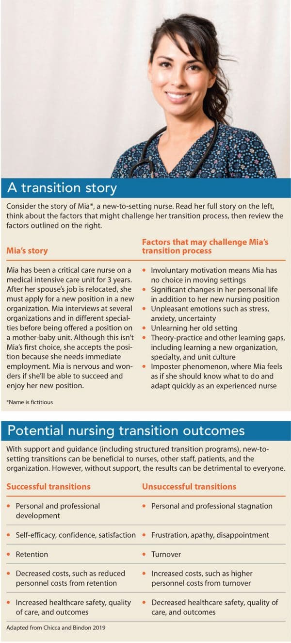 The new-to-setting nurse: Understanding and supporting clinical transitions