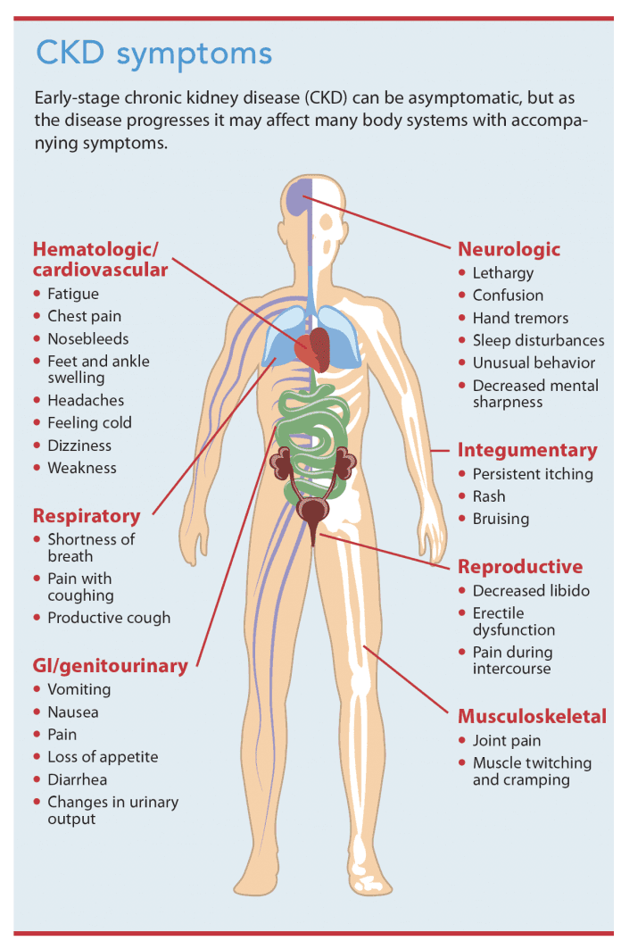 Adults with chronic kidney disease: Overview and nursing care goals