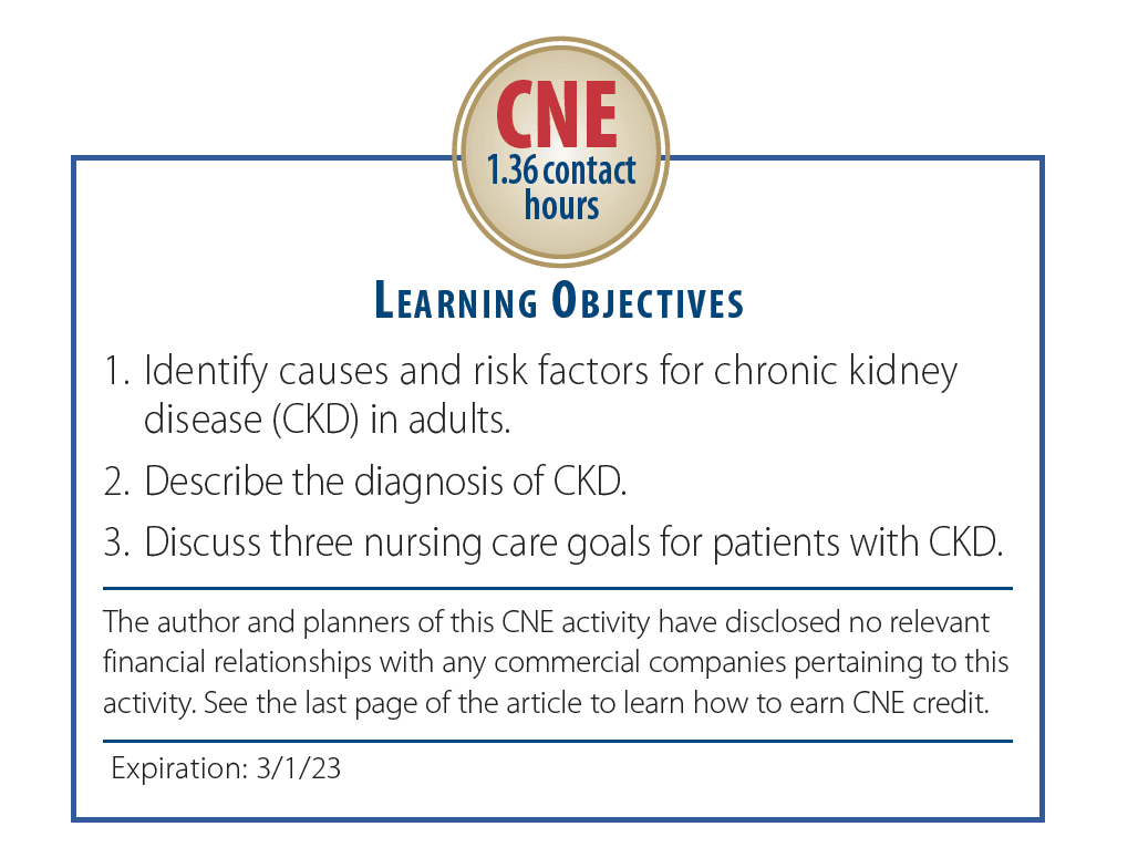 Adults with chronic kidney disease: Overview and nursing care goals