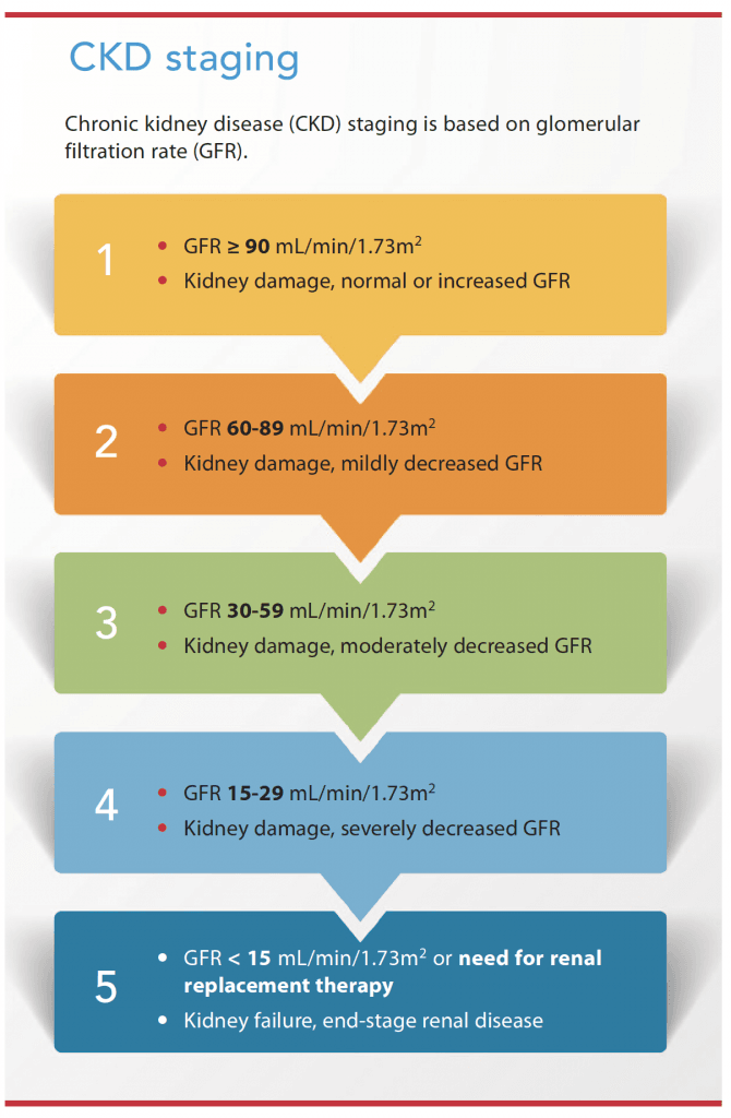 Adults with chronic kidney disease: Overview and nursing care goals