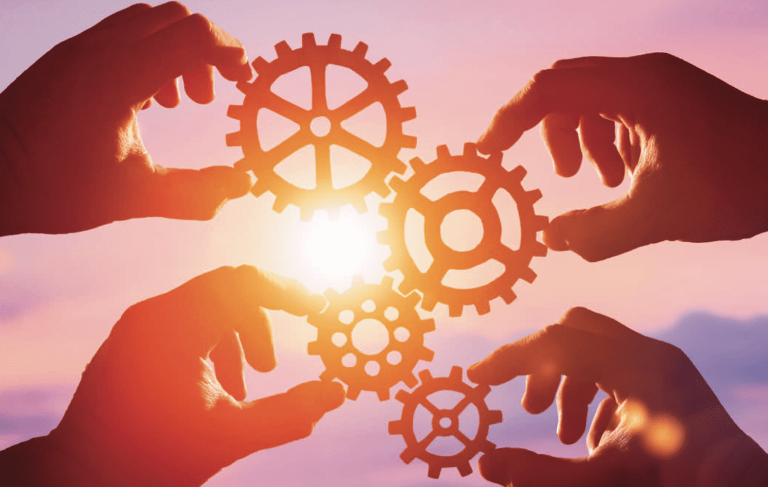 Interprofessional collaboration made easy