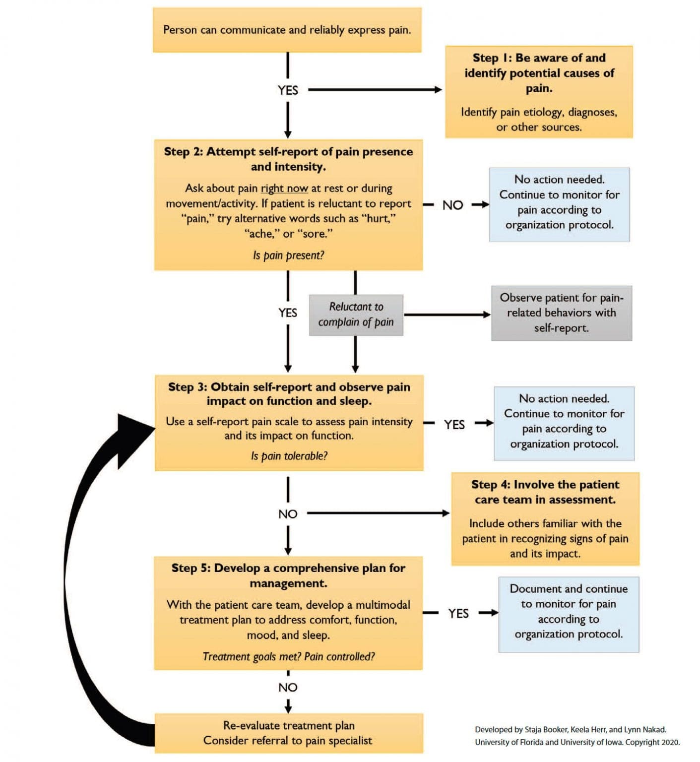 Assessment of pain in older adults