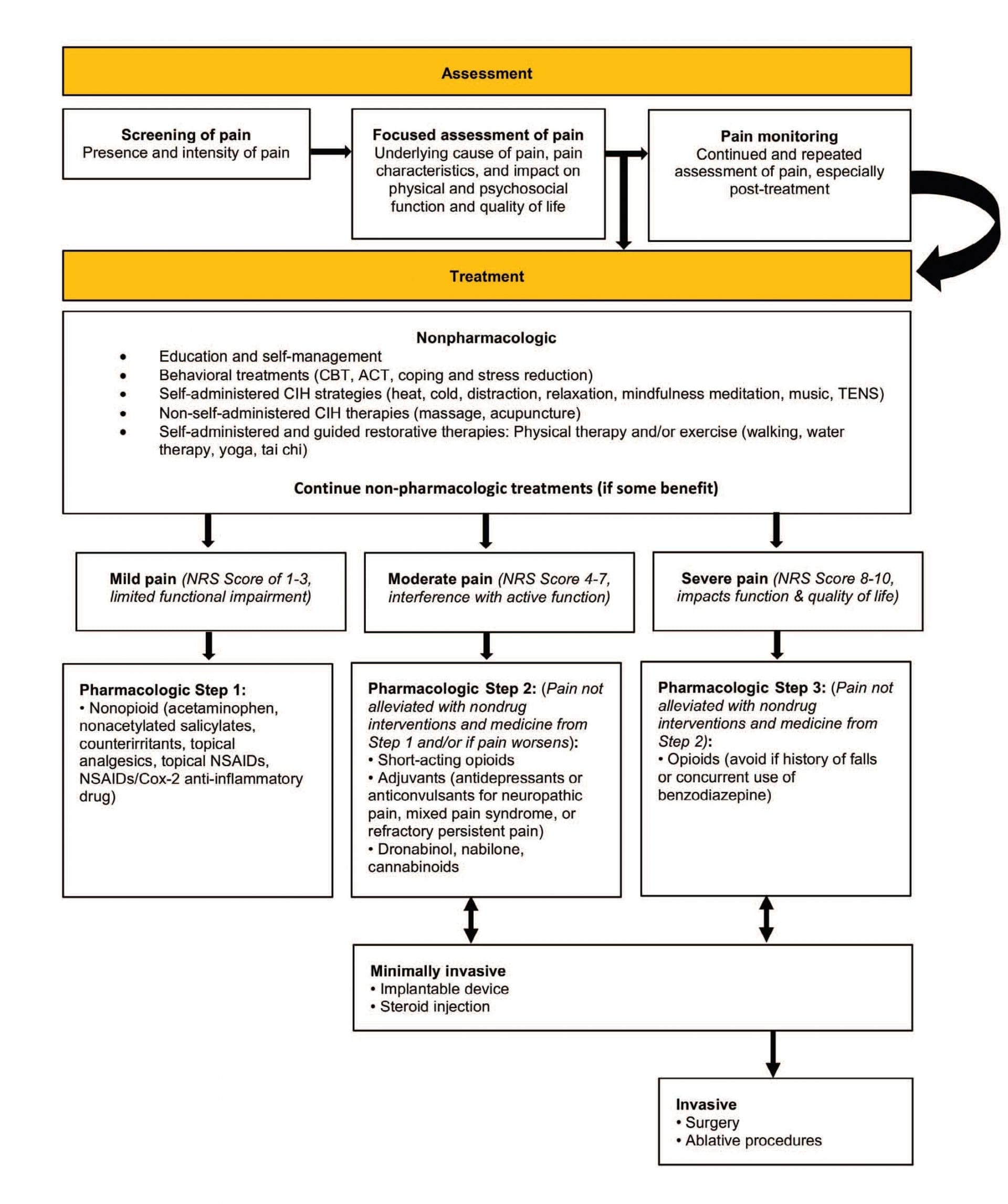 Assessment of pain in older adults