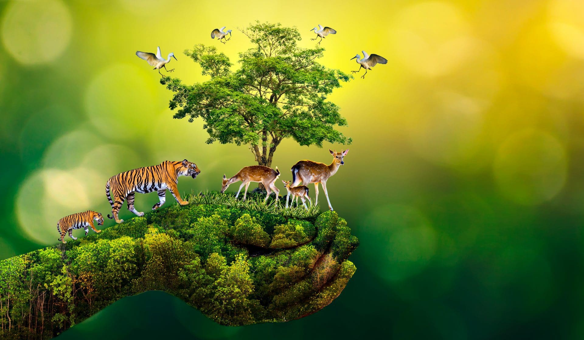 'One Health' explores robust connection between humans, nature