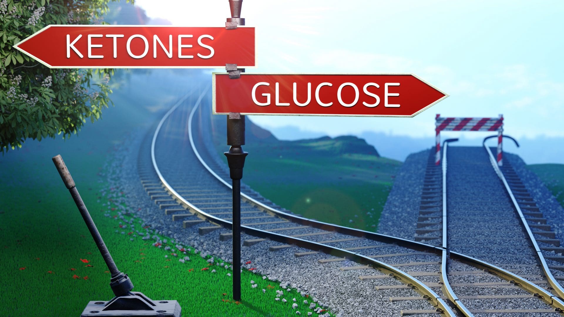 DKA and HHS: compare onset, diagnosis, and treatment