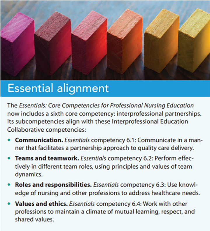 Interprofessional education: building new experiences