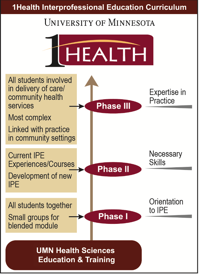 Interprofessional education: building new experiences