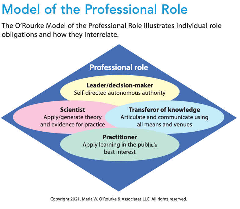 Interprofessional practice: building a blueprint for success