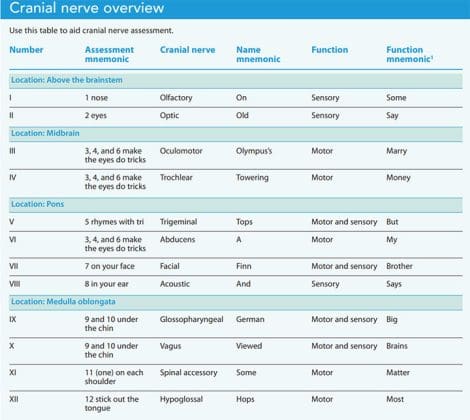 Cranial nerve assessment: a practical approach