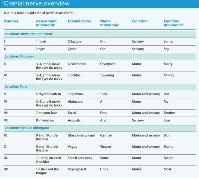 Cranial nerve assessment: a practical approach