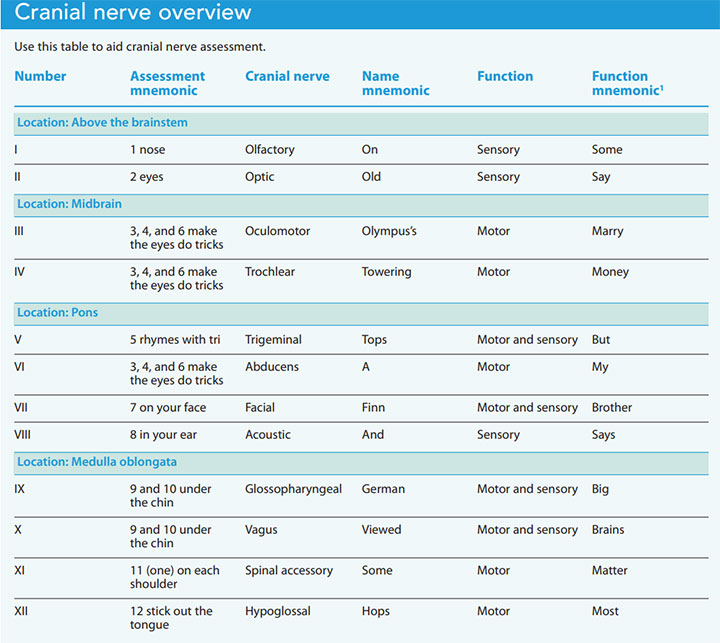 Cranial nerve assessment: a practical approach