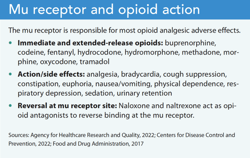 Opioids: Follow the evidence