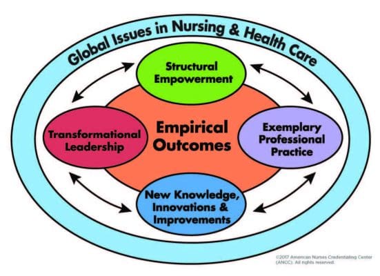 Journey of a novice Magnet® program director