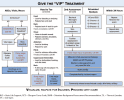 The VIP treatment: A comprehensive post-fall assessment guideline