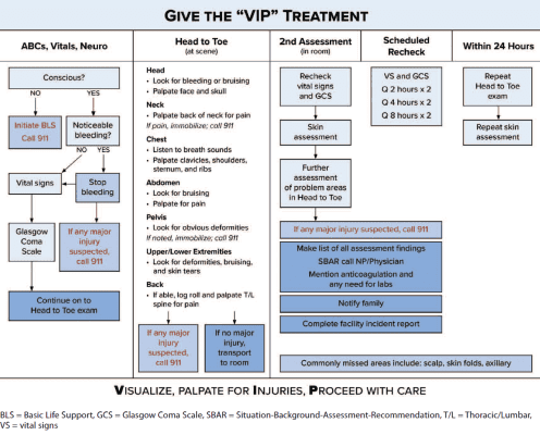 The VIP treatment: A comprehensive post-fall assessment guideline