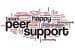 Peer support and nurse well-being