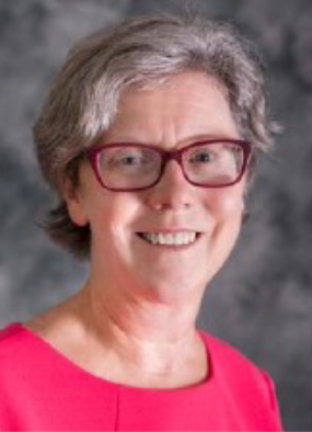 Guest Editor Introduction