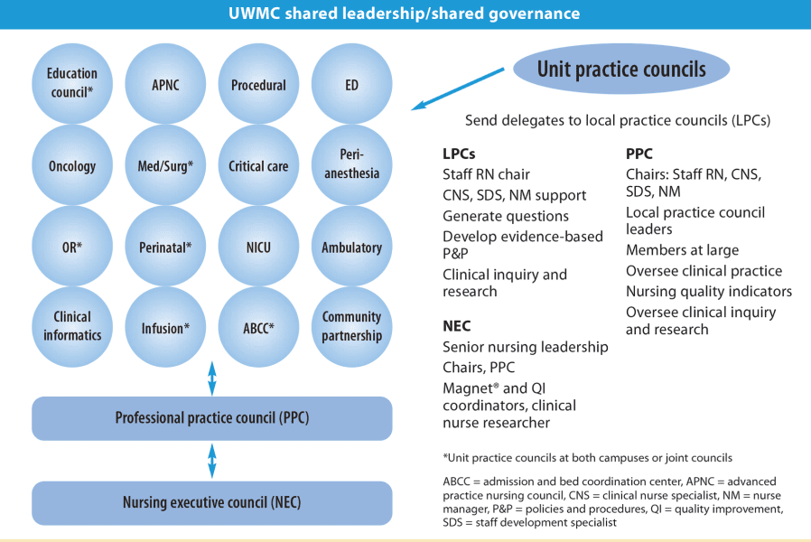 Shared governance