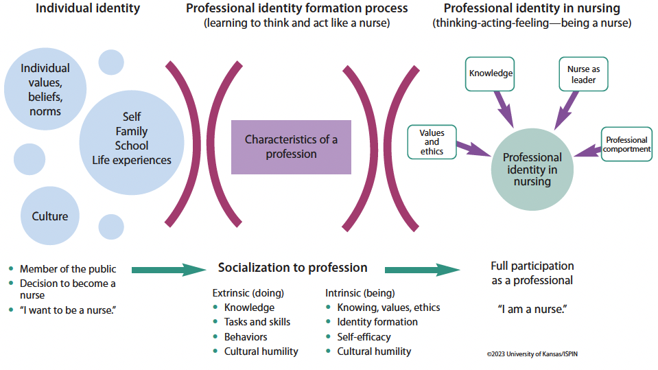 Professionalism and professional identity