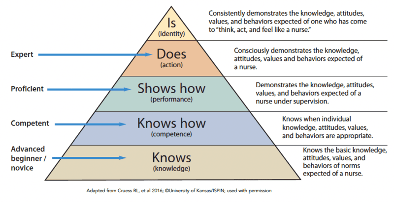 Professionalism and professional identity