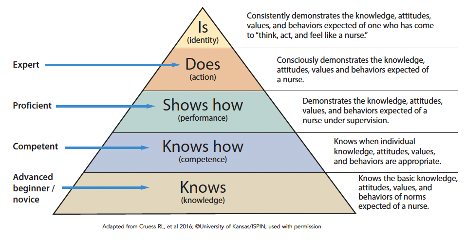 Professionalism and professional identity