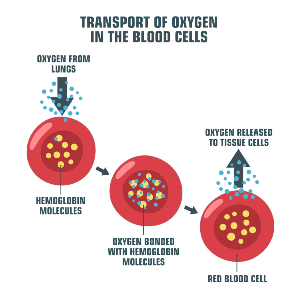 The evolution of pulse oximetry and its impact on patient care