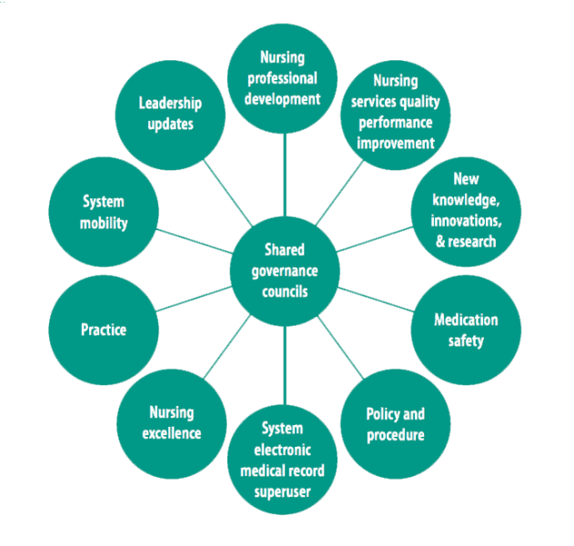 Robust shared governance for clinical nurses