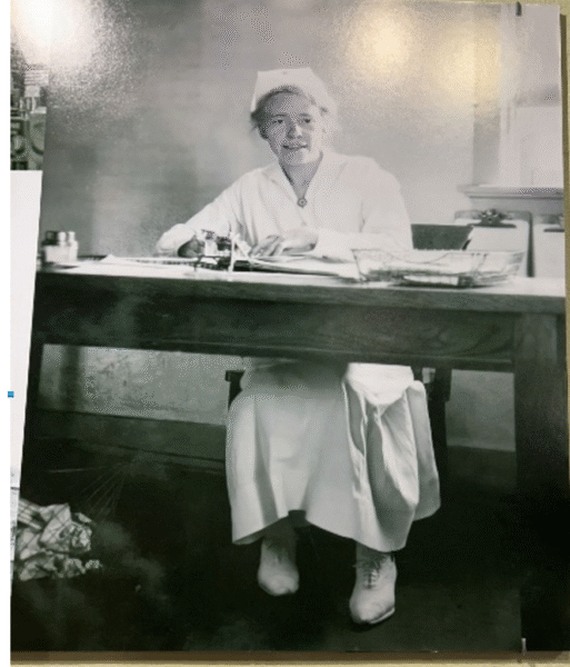 On Whose Shoulders We Stand: Key Health Challenges in NM History, and ...