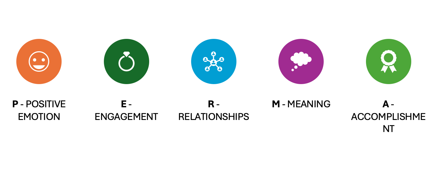 Fostering Nurses' Resilience and Emotional Wellness: Applications of ...