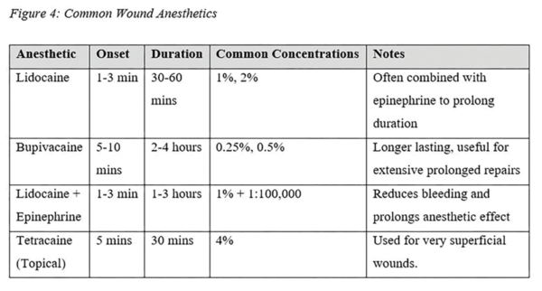 Part 2: Emergent Closure of Face and Neck Lacerations for the Rural ...